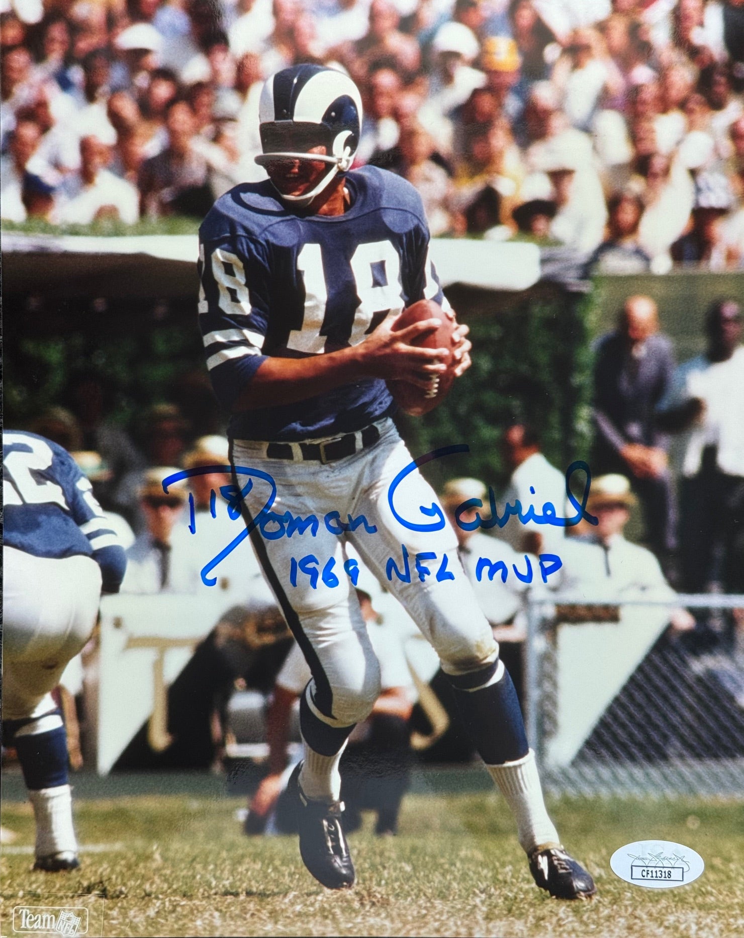 Roman Gabriel Autographed 8x10 Football Photo (JSA) | Hollywood ...