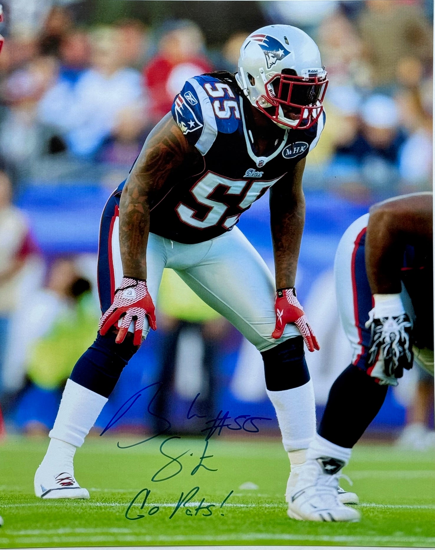 Brandon Spikes Autographed 16x20 Football Photo | Hollywood Collectibles