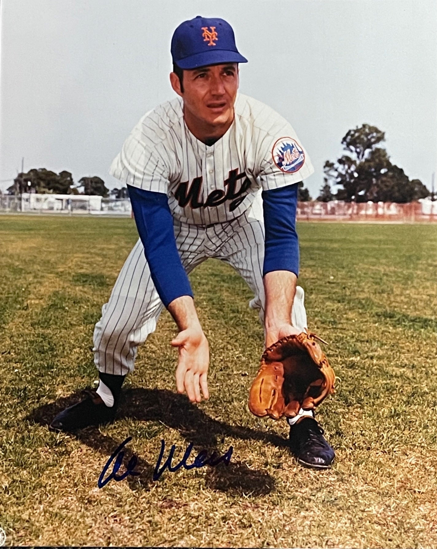 Al Weis Autographed New York Mets 8x10 Photo | Hollywood Collectibles