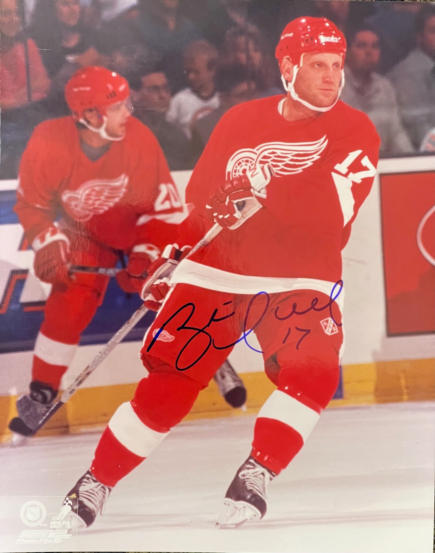 Brett Hull Autographed 8x10 Hockey Photo | Hollywood Collectibles