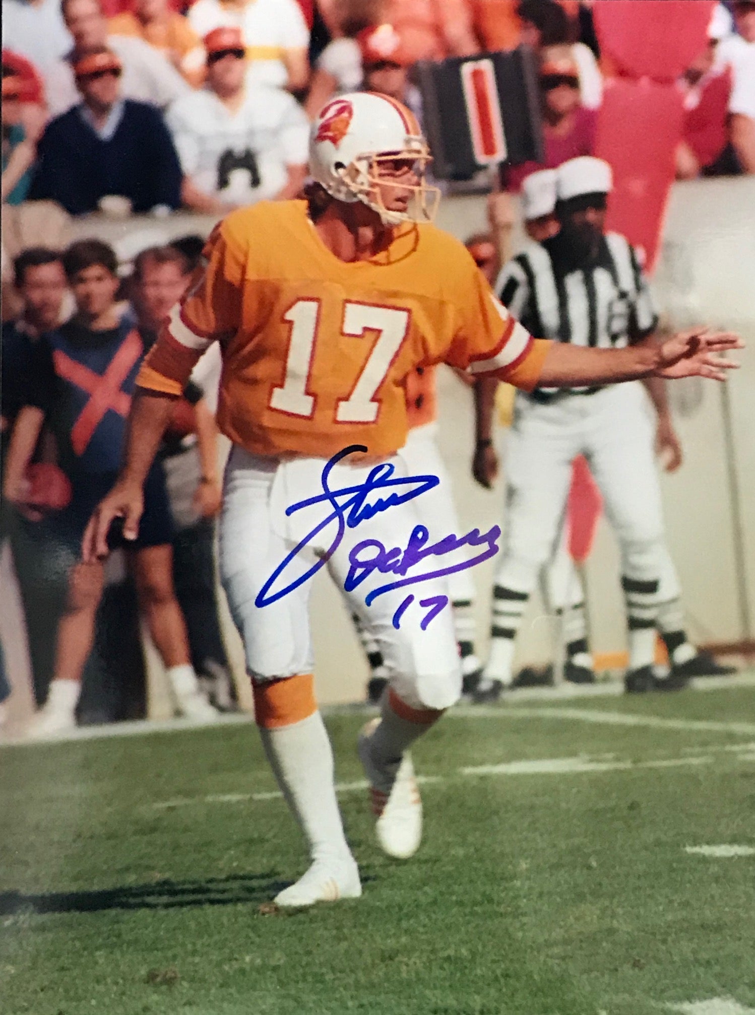 Steve DeBerg Autographed 8x10 Football Photo | Hollywood Collectibles