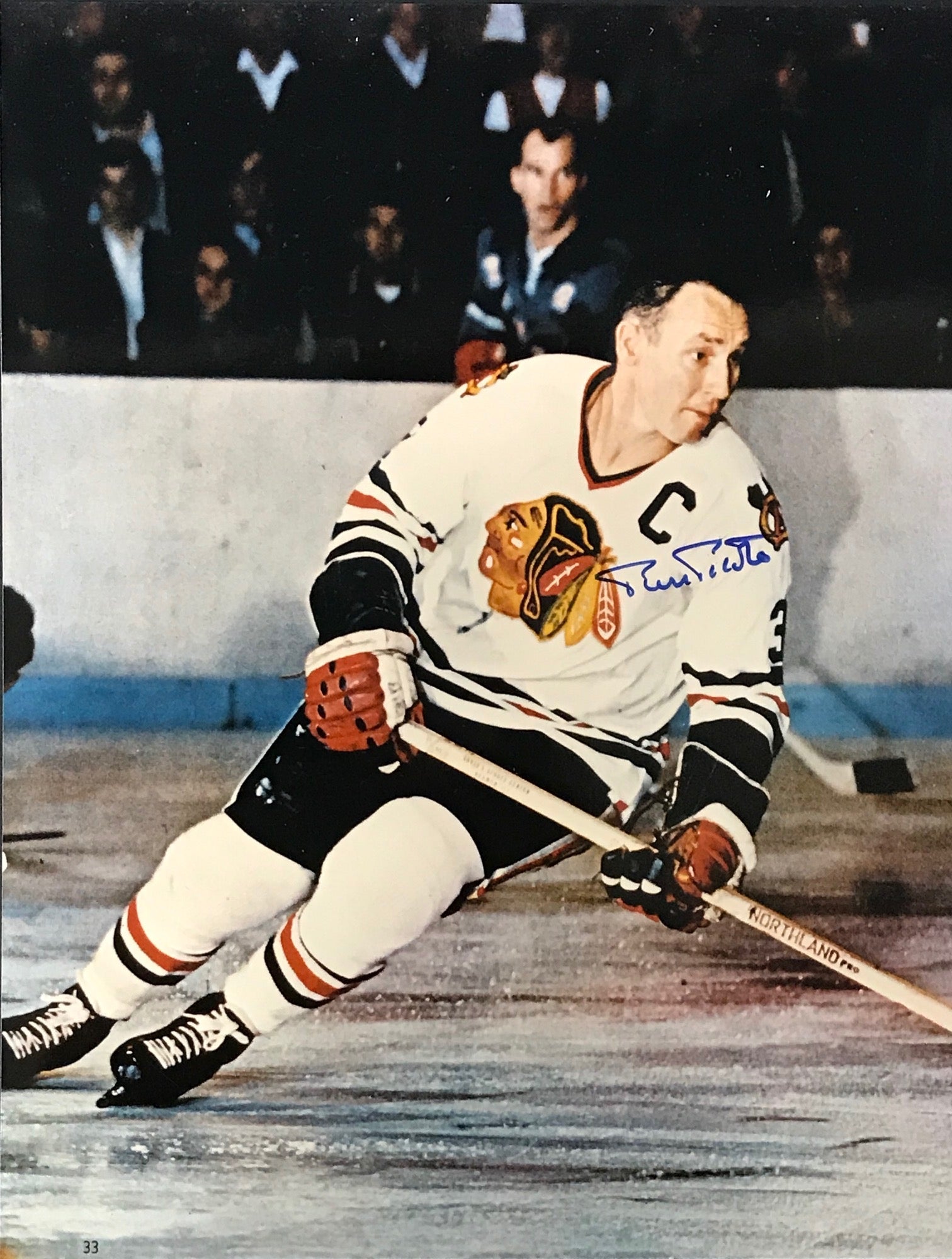 Pierre Pilote Signed 8x10 Photo Chicago Black Hawks | Hollywood ...